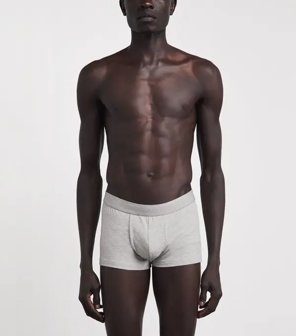 Sunspel Stretch-cotton Trunks - Grey