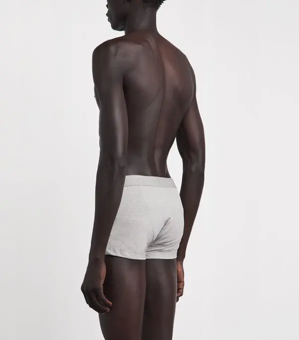 Sunspel Stretch-cotton Trunks - Grey