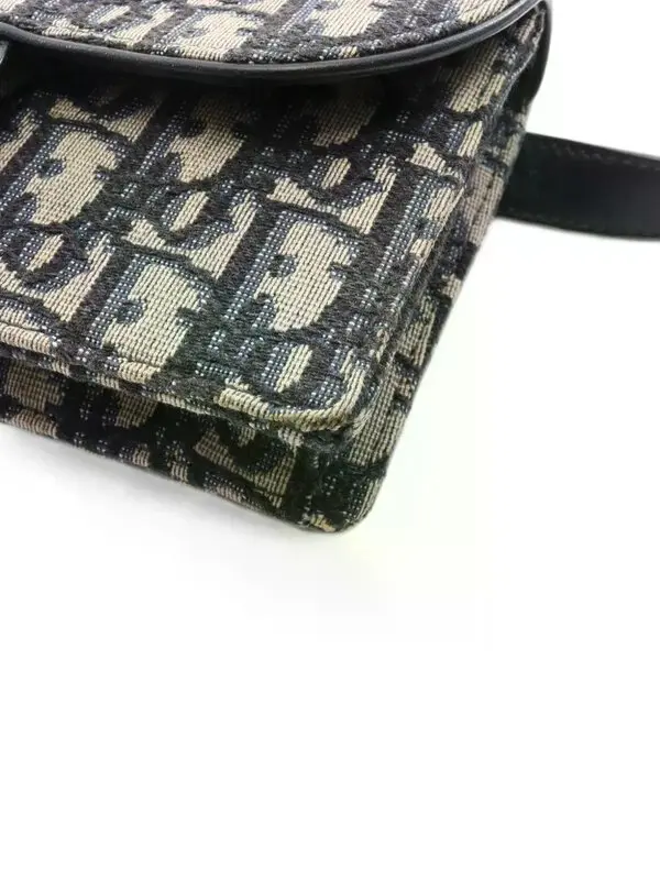 Dior Saddle Oblique Belt Bag