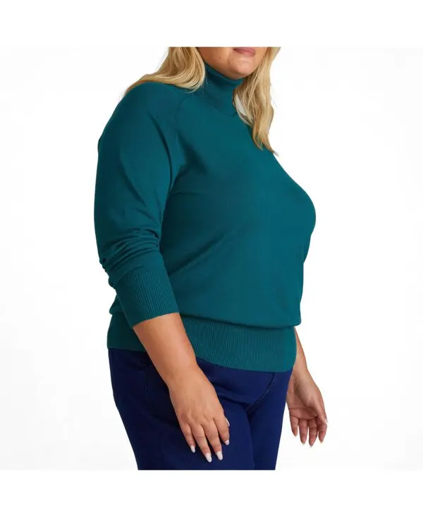 Universal Standard Plus Renee Savvy Fine Knit Raglan Turtleneck