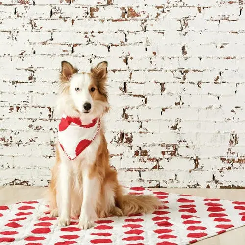 Carol & Frank Pet Dog Or Cat Tomato Pattern Quilt Throw Blanket