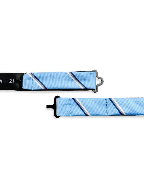 SYNRGY BY DXL Traditional Striped Bow Tie - Blue
