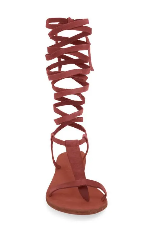 Free People Dahlia' Tall Gladiator Sandal