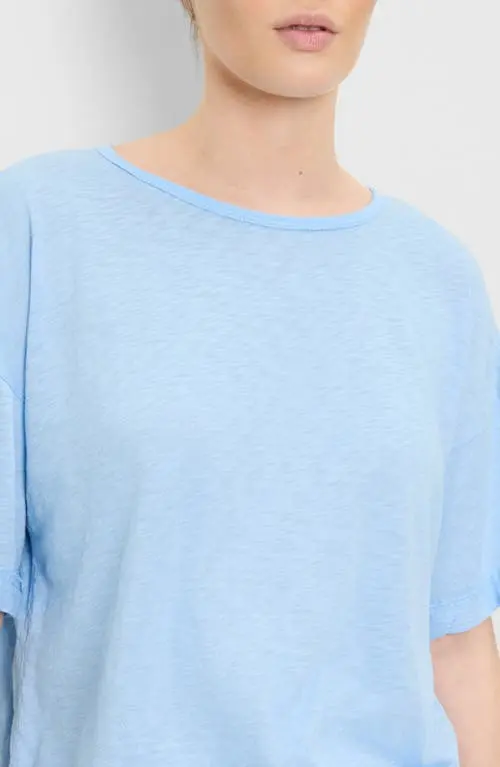 Michael Stars Tilda Oversized Cotton Crewneck T-shirt - Sky