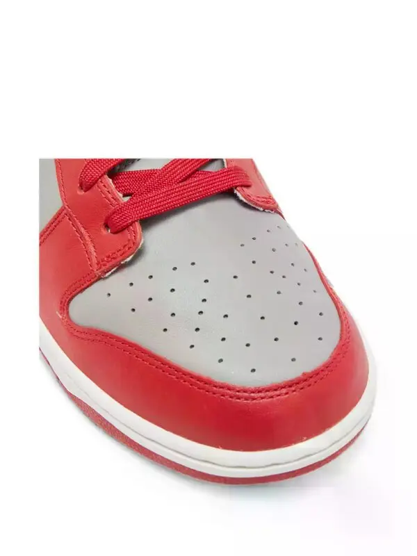 Nike Dunk Low Sneakers