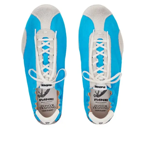 PANE Zephyr Pouching 'time Traveler' Sneakers
