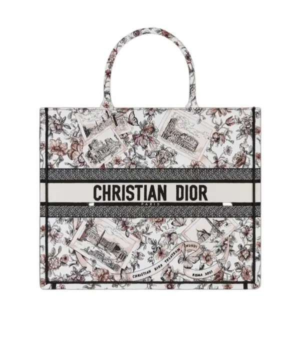 Dior Large Book Tote - Gray