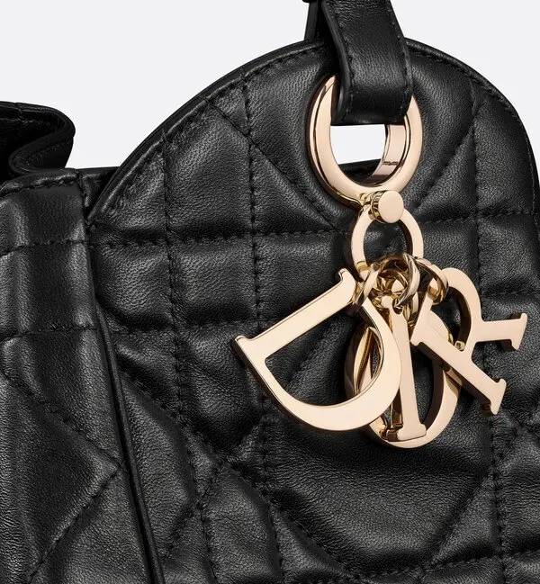 Dior Medium D-motion Bag