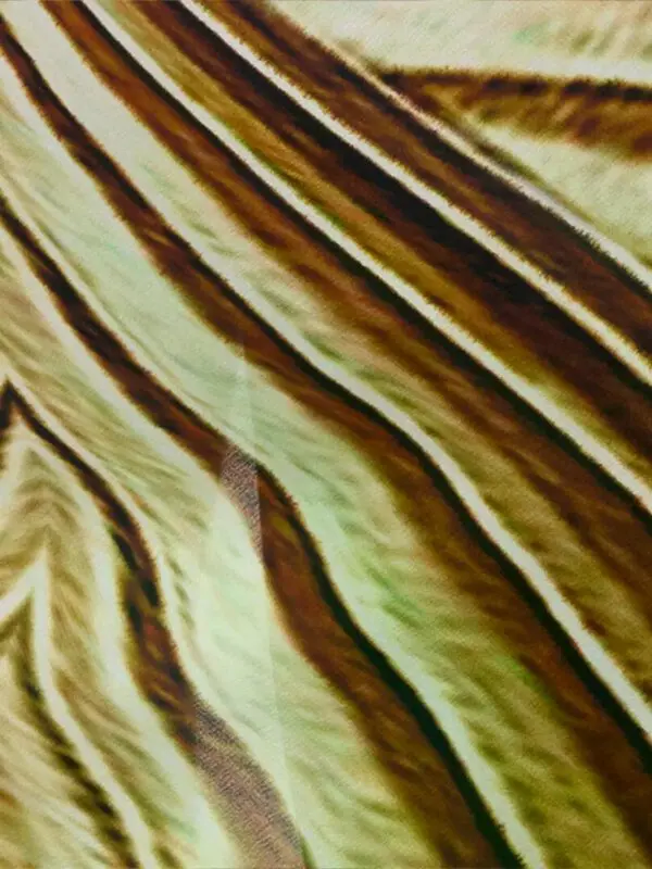Roberto Cavalli Printed Pareo