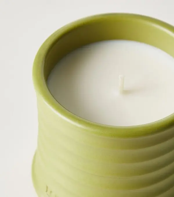 Loewe Pistachio Small Scented Candle
