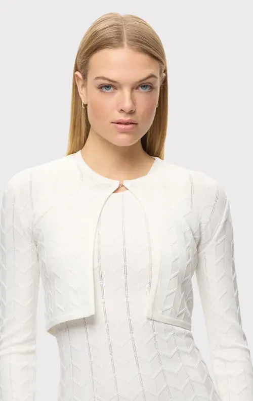 Herve Leger The Ellis Jacket