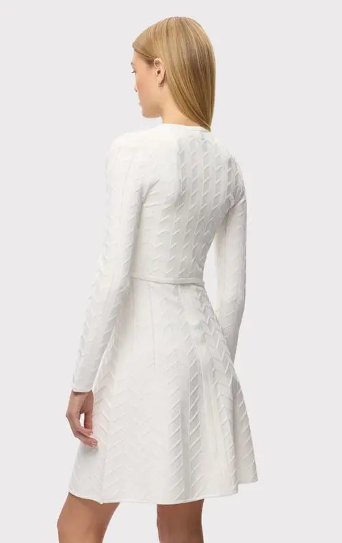 Herve Leger The Ellis Jacket