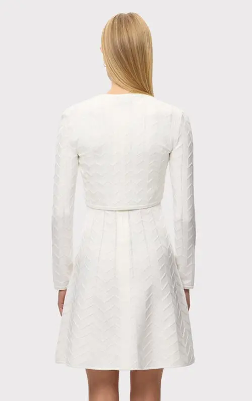 Herve Leger The Ellis Jacket