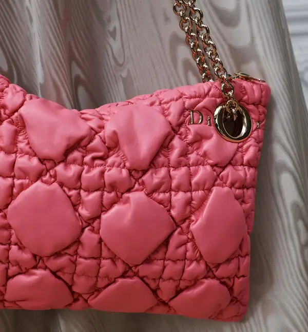 Dior Small Crunchy Bag