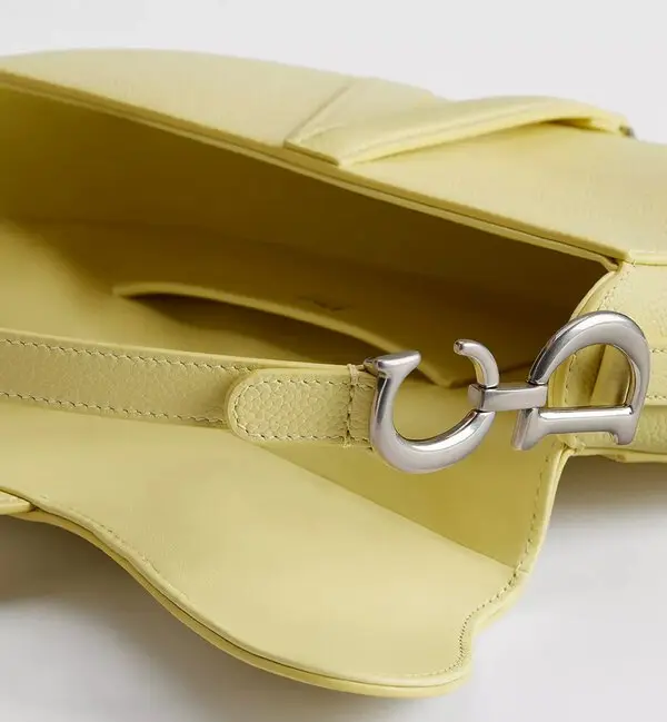 Dior Small Saddle Bag - Nude