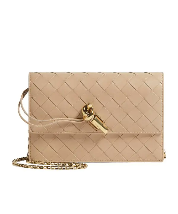 Bottega Veneta Andiamo Pouch On Chain - Nude