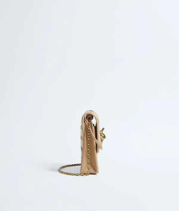 Bottega Veneta Andiamo Pouch On Chain