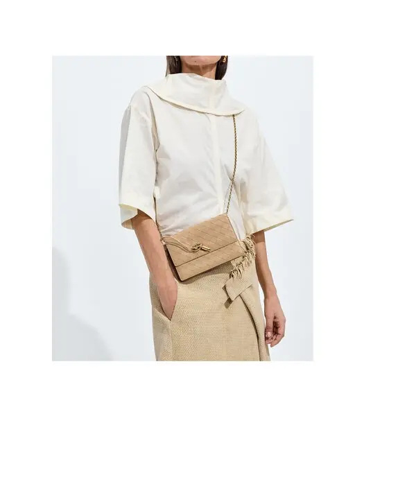Bottega Veneta Andiamo Pouch On Chain