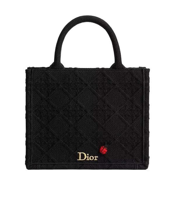 Dior Book Tote Small Tote Bag