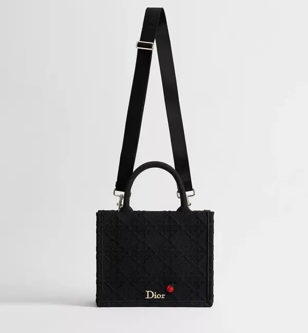Dior Book Tote Small Tote Bag