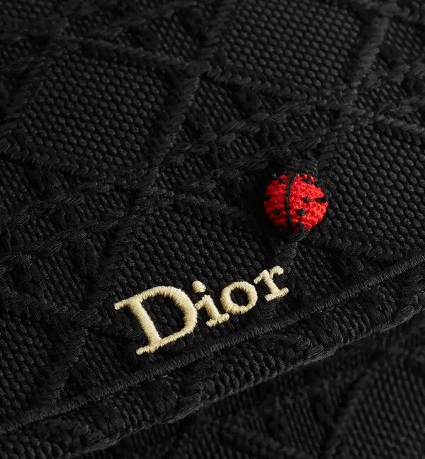 Dior Book Tote Small Tote Bag