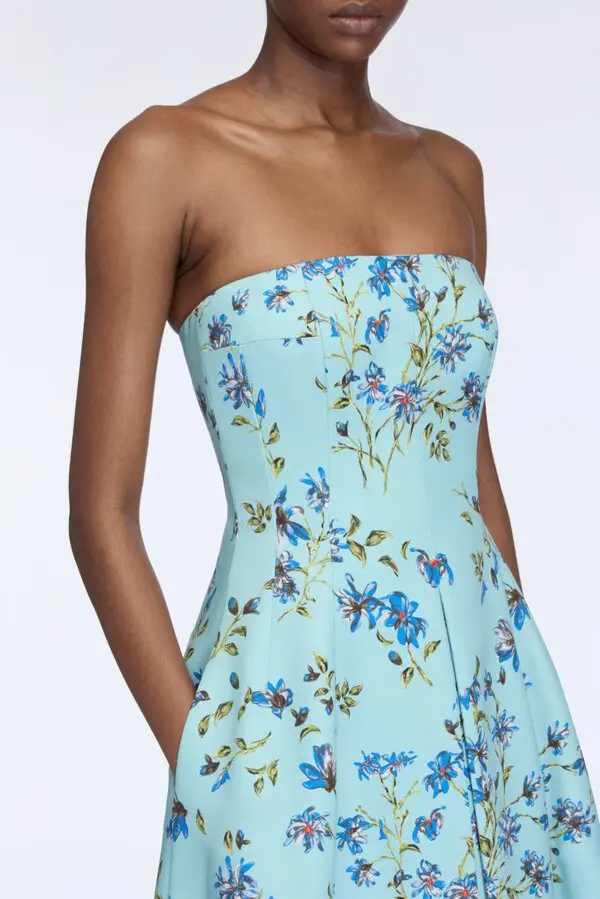 EMILIA WICKSTEAD Ragna Strapless Floral Print Maxi Dress