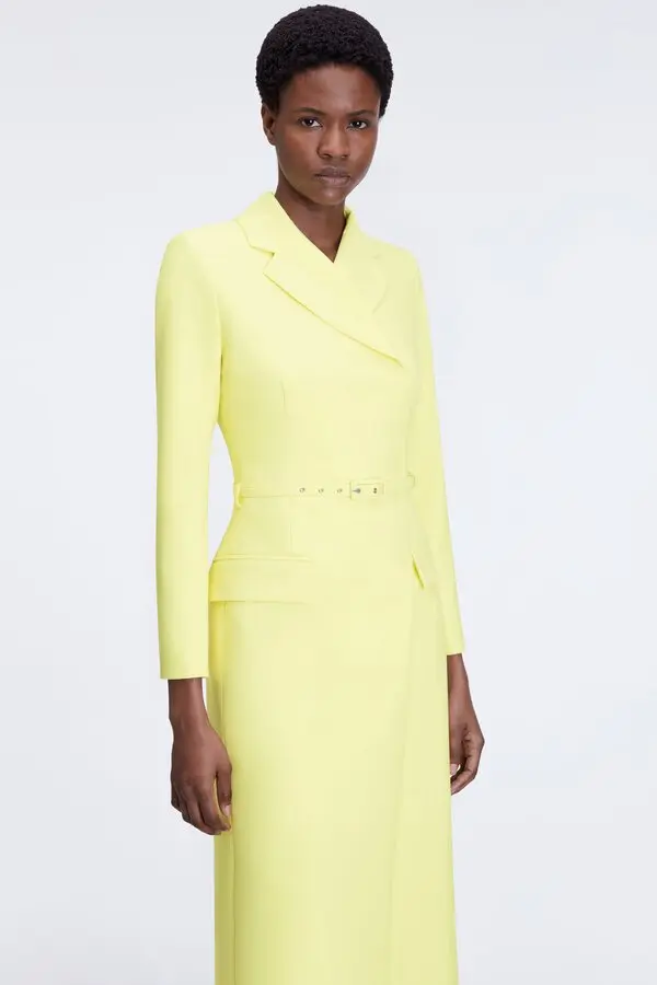 EMILIA WICKSTEAD Kalonice Dress In Summer Wool