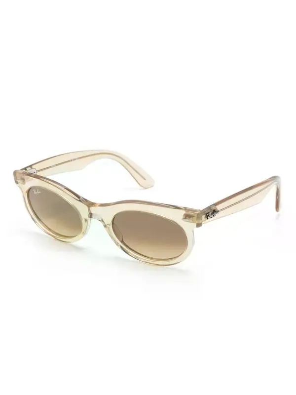 Ray-ban Wayfarer Oval-frame Sunglasses
