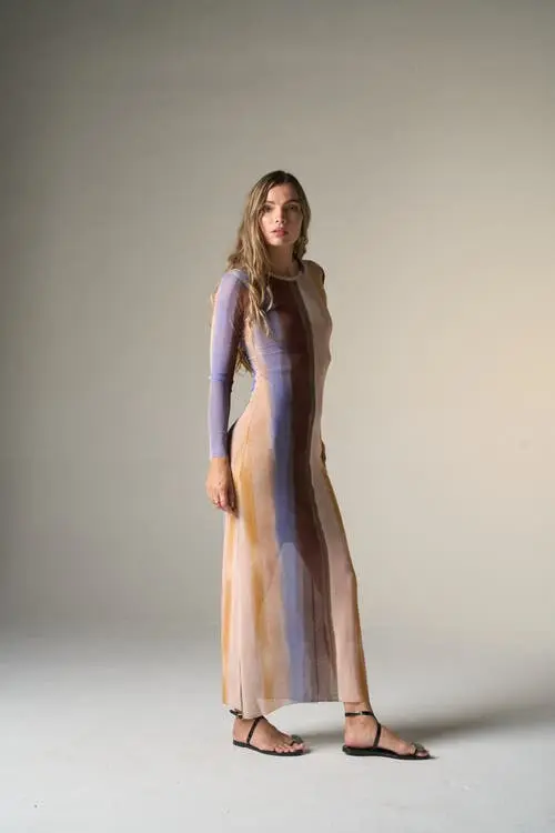 JBQ Petra Sheer Mesh Long Sleeve Midi Dress