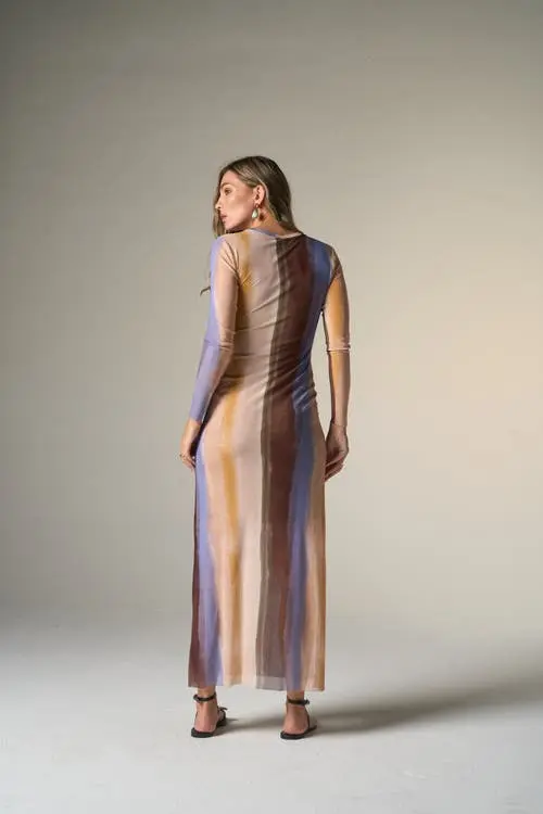 JBQ Petra Sheer Mesh Long Sleeve Midi Dress