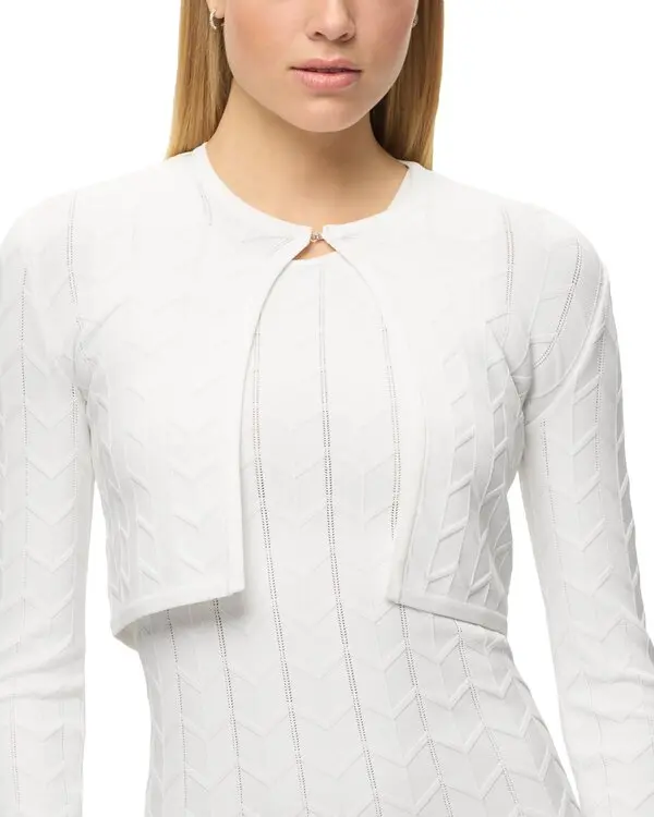 Herve Leger The Ellis Cropped Jacket