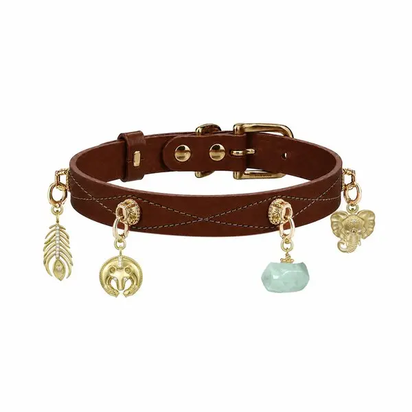 UNLEASH CPH Courage Leather Dog Collar - Brown/gold