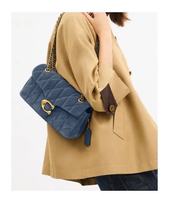 COACH Tabby 20 Logo Plaque Shoulder Bag