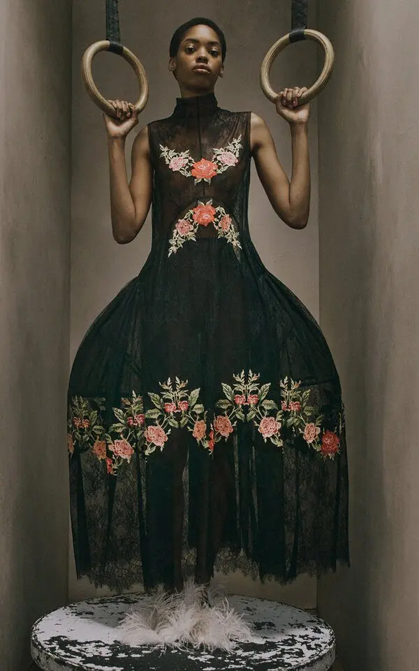 Erdem Embroidered Lace Maxi Dress
