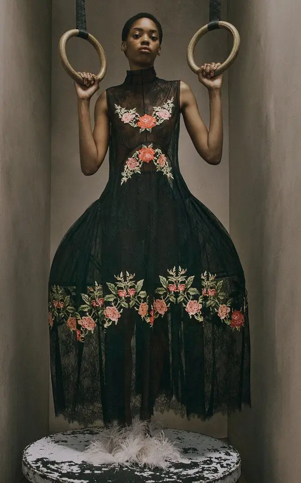 Erdem Embroidered Lace Maxi Dress