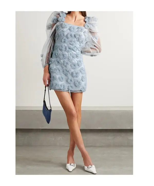 LoveShackFancy Wells Appliqued Organza Mini Dress