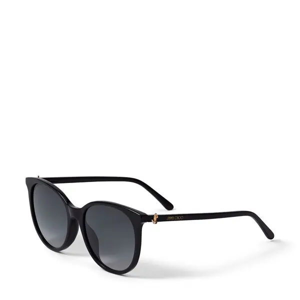 JIMMY CHOO Oval Frame Sunglasses