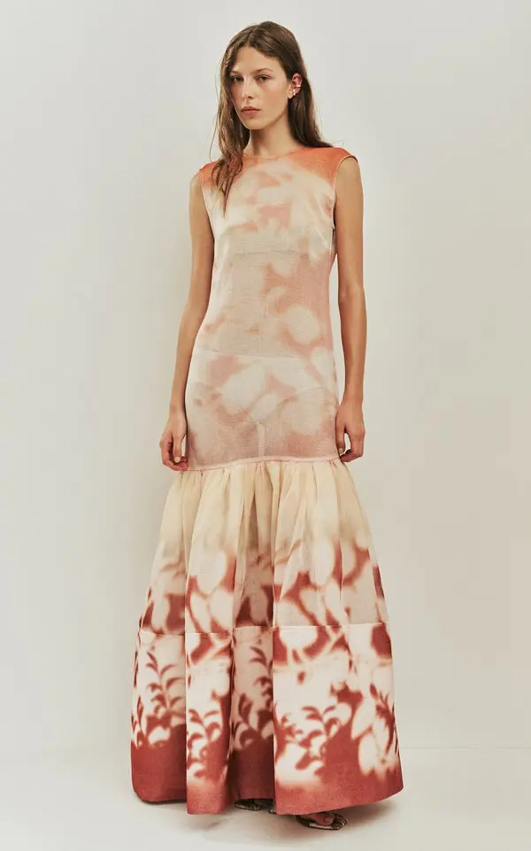Aje Zinnia Printed Gown