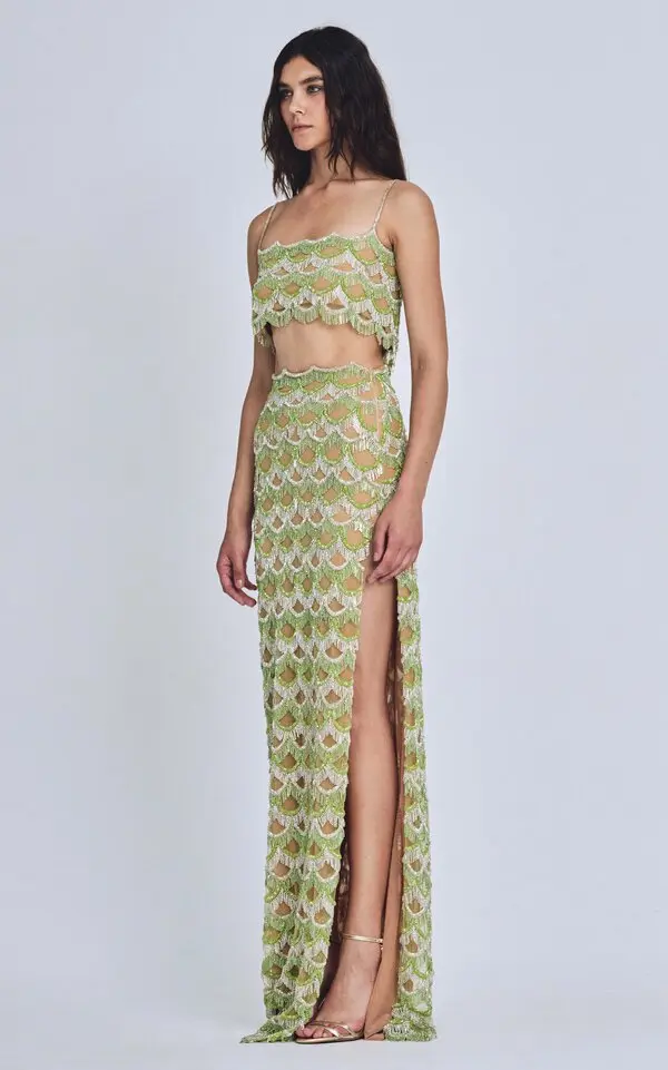 ANDRÉS PAJÓN Aura Embroidered Tulle Maxi Skirt