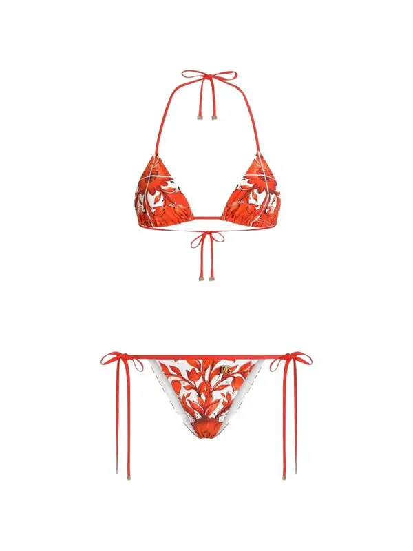 Dolce & Gabbana Maiolica Print Bikini Set - Multicolor