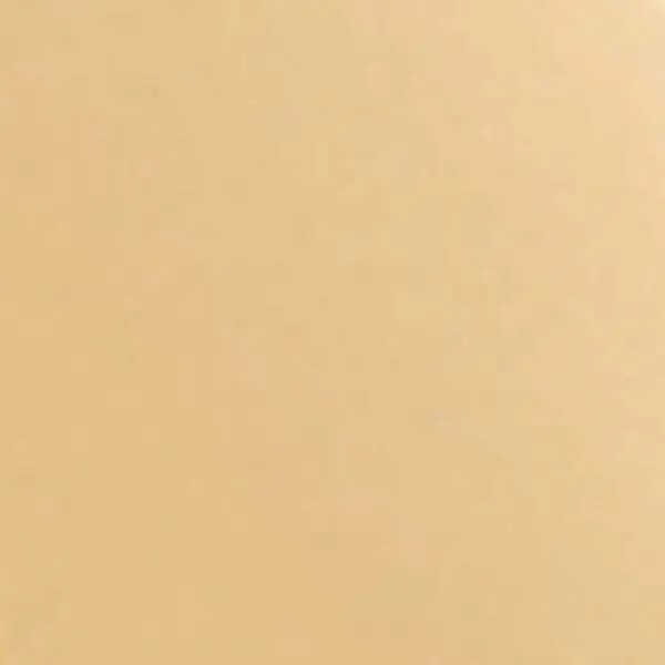 Max Mara Choker Necklace