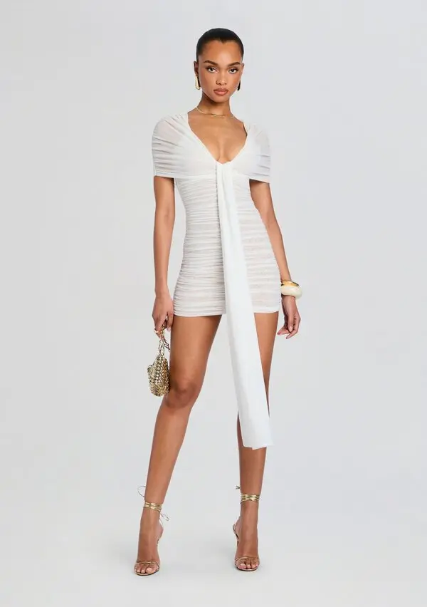 SEROYA Winslow Mesh Mini Dress