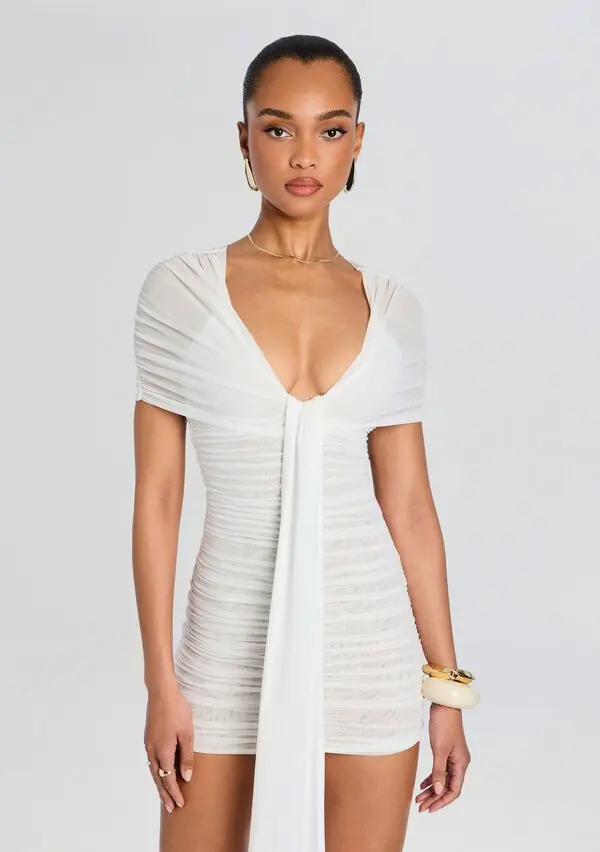 SEROYA Winslow Mesh Mini Dress