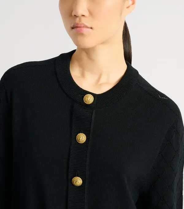 Balmain Merino Wool Cardigan With Lion Chain Buttons - Black