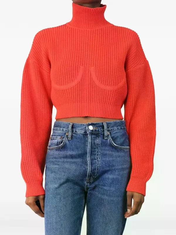SIMONMILLER High Neck Cropped Sweater