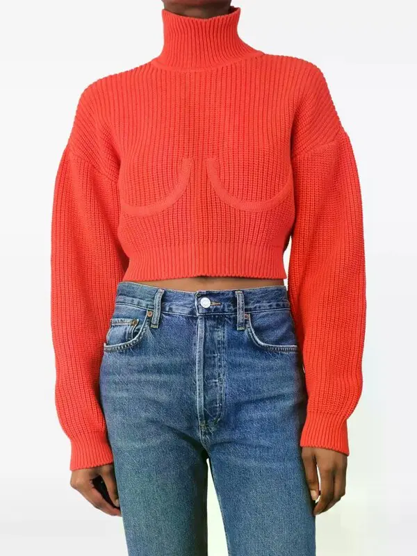 SIMONMILLER High-neck Cropped Sweater