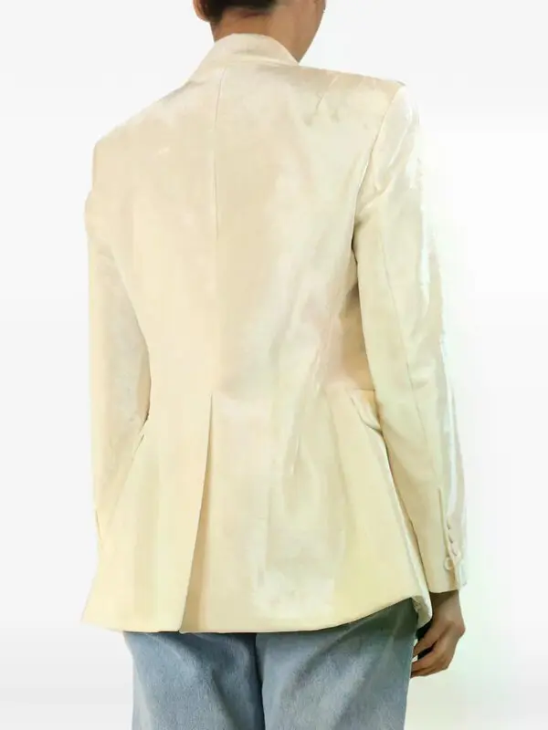 Ermanno Scervino Velvet Jacket
