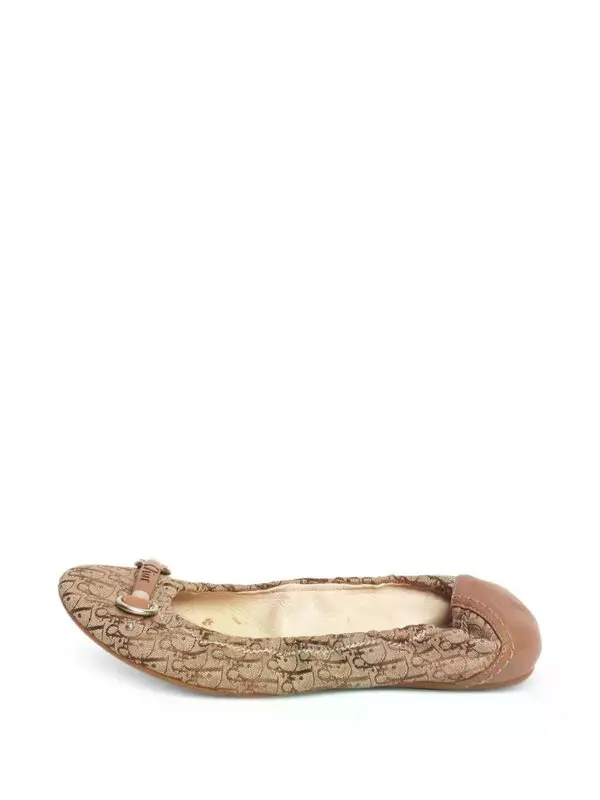 Dior Monogram Ballet Flats