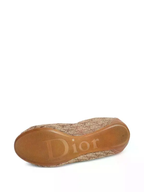 Dior Monogram Ballet Flats
