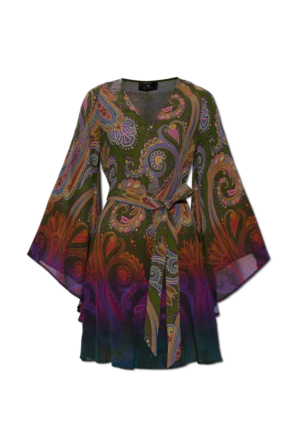 Etro Dress With A Waist Belt - Multicolour